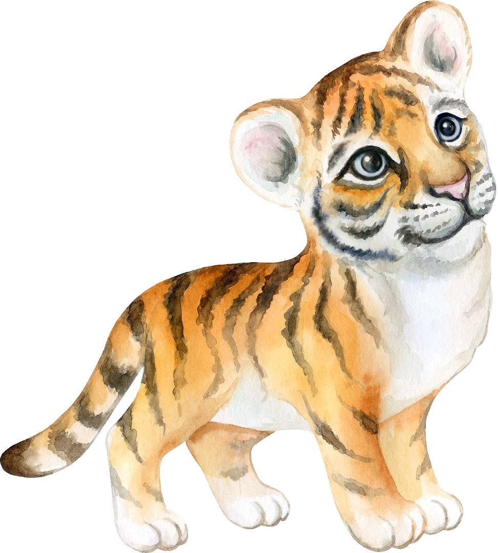 Baby Tiger Cub 2 Wall Decal Safari Animal Wall Sticker - Etsy