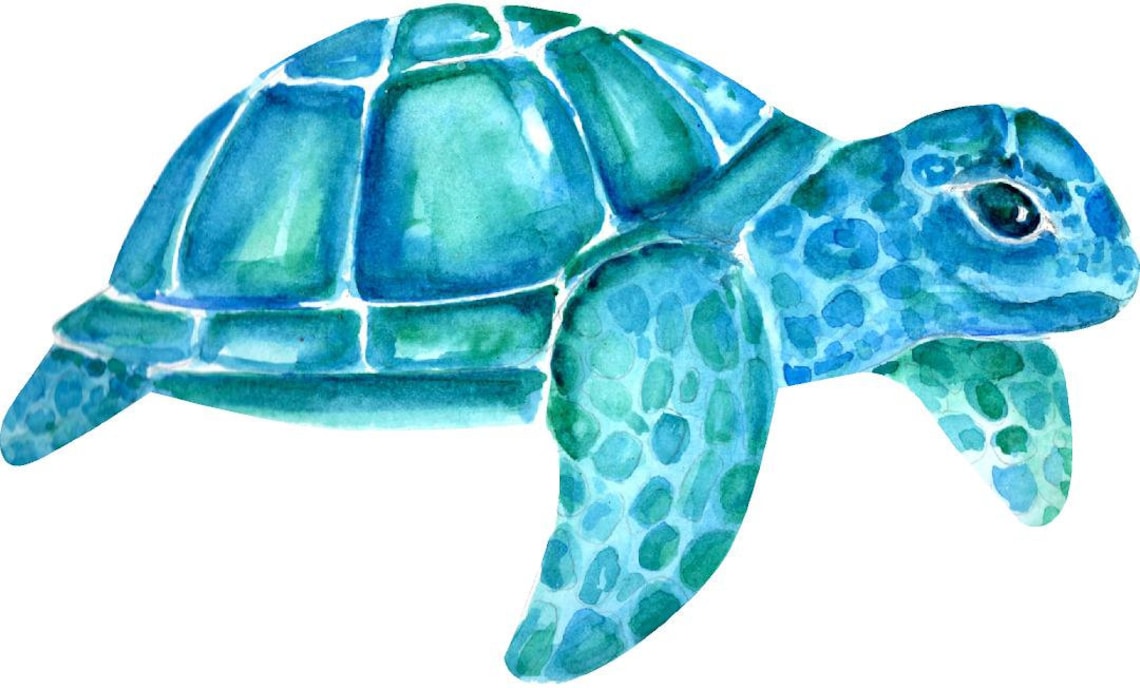Baby Sea Turtle Wall Decal Ocean Sea Life Removable Fabric - Etsy