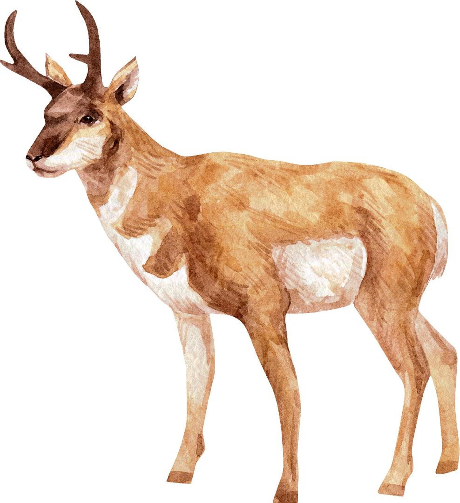 Pronghorn Antelope Wall Decal Watercolor Goat Wall Sticker - Etsy