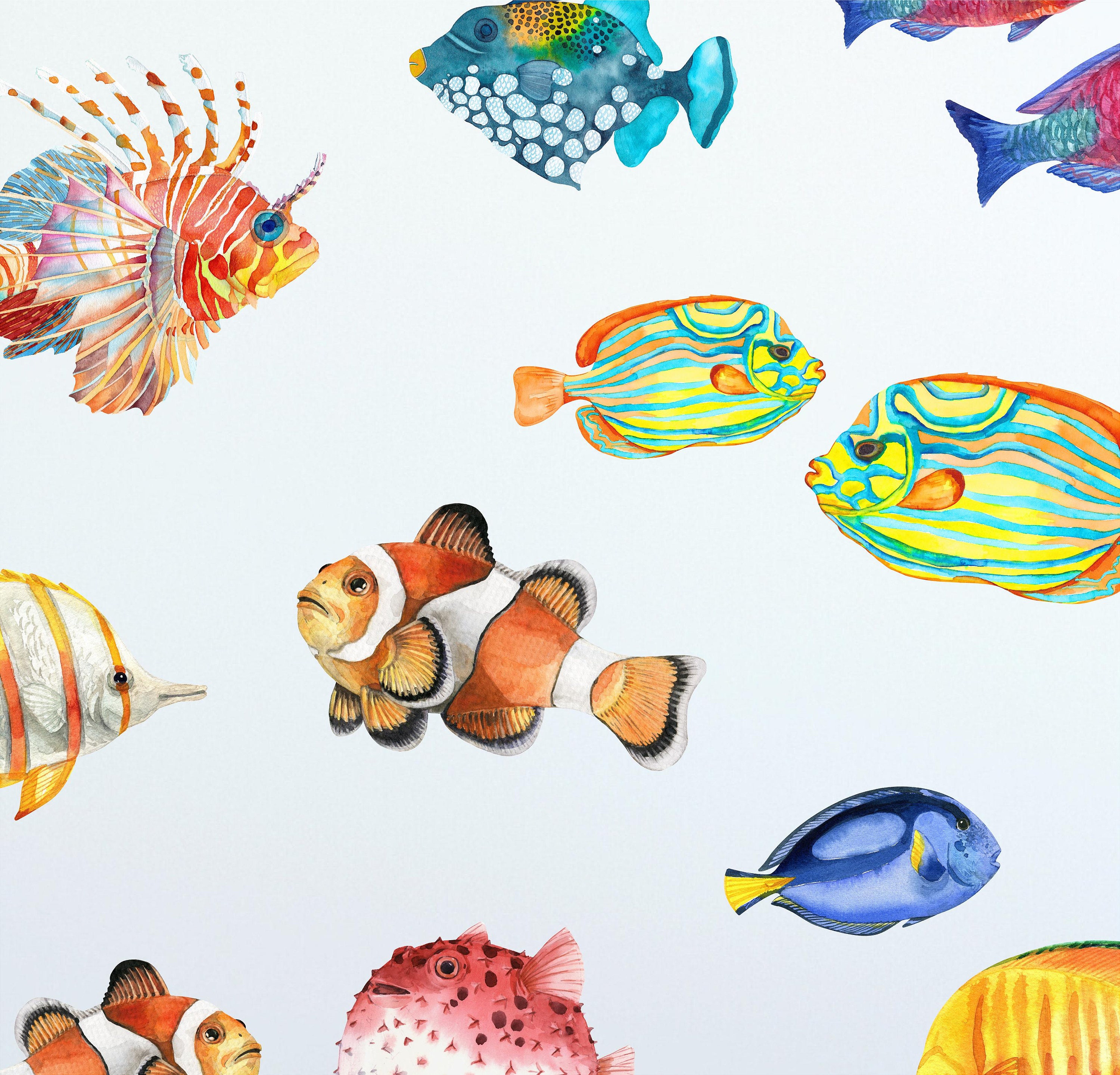 Tropical Fish Wall Decal Set • Colorful Fishes • Ocean Fish Wall ...