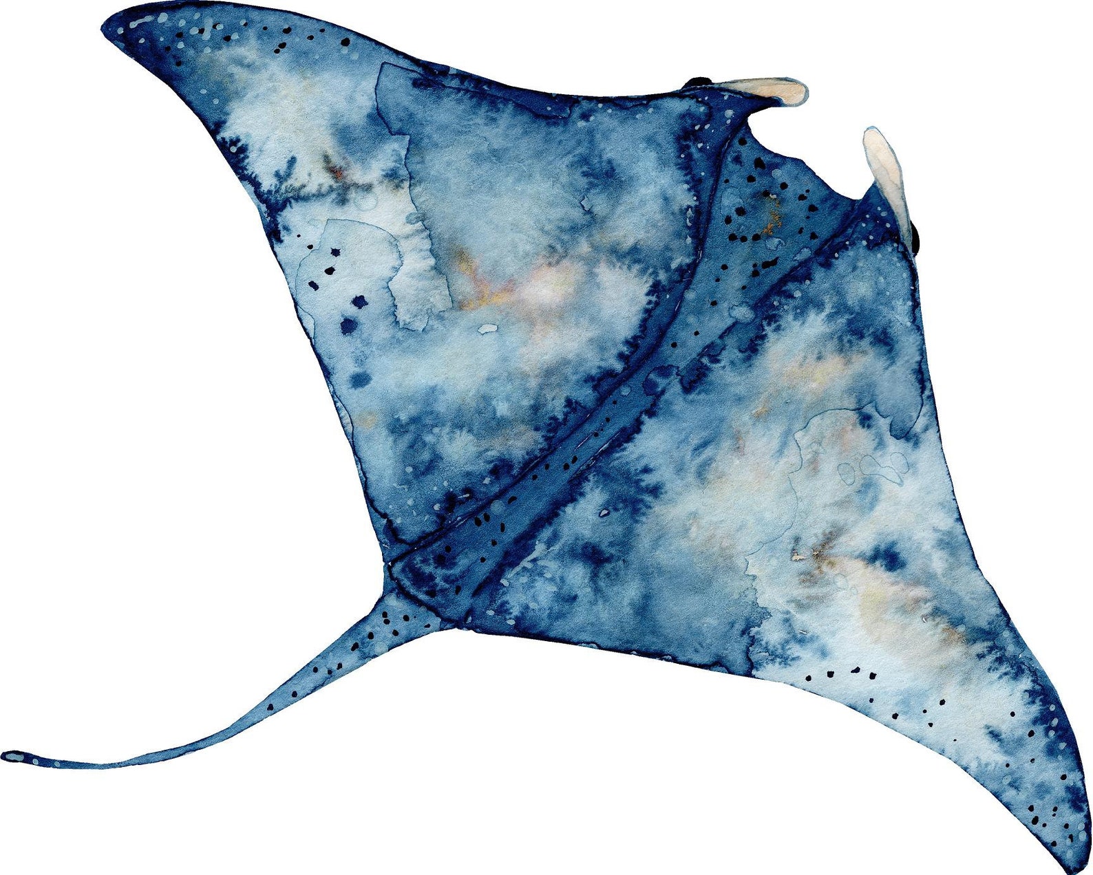 Watercolor Manta Ray Wall Decal Ocean Sea Life Removable - Etsy