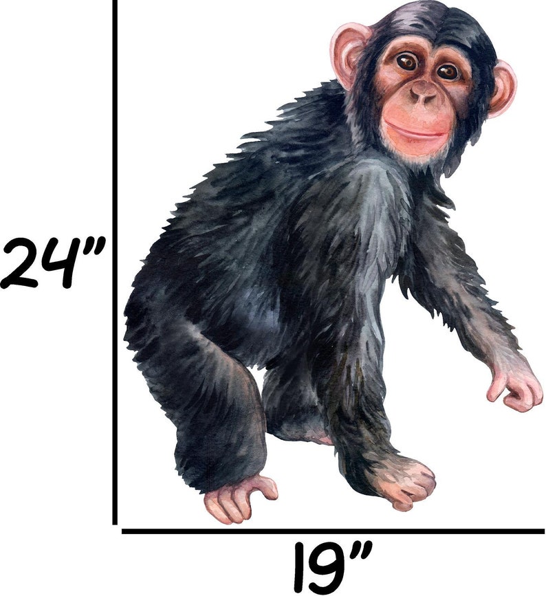 Chimp Monkey Wall Decal Safari Animal Wall Sticker Removable - Etsy