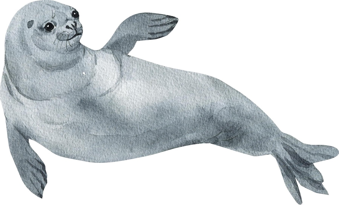 Watercolor Hawaiian Monk Seal Wall Decal Removable Fabric | Etsy