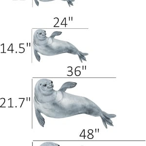 Watercolor Hawaiian Monk Seal Wall Decal Ocean Sea Life Removable ...