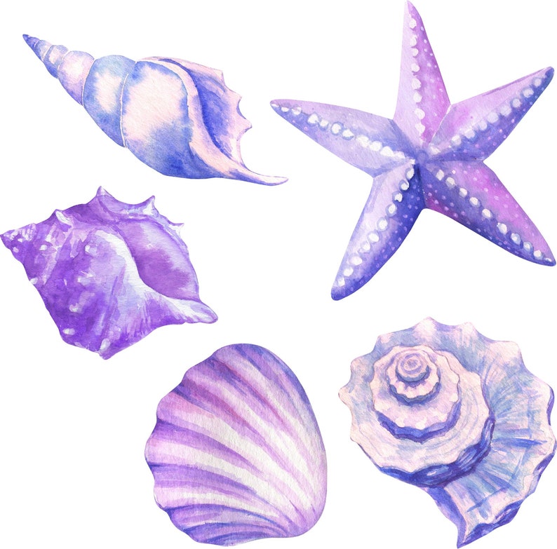 Watercolor Purple Seashells & Starfish Set Wall Decal Set of 5 - Etsy