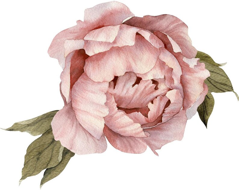 Pink Peony 2 With Leaves Removable Fabric Wall Sticker | Etsy