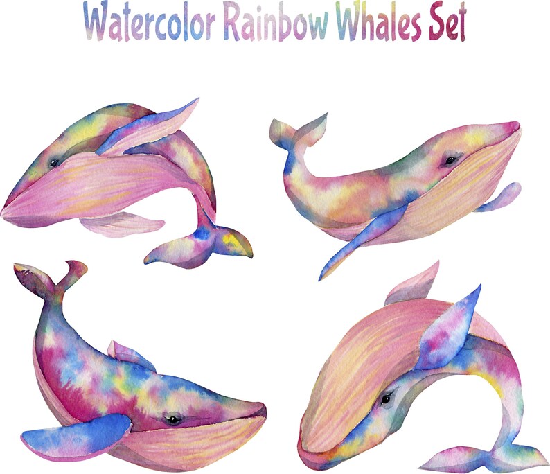 Watercolor Rainbow Whales Wall Decal Set Removable Fabric Wall - Etsy