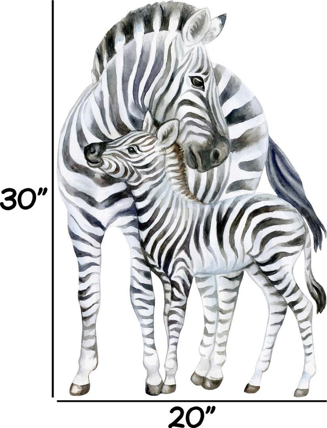 Mother Zebra With Baby Wall Decal Safari Animal Wall Sticker - Etsy