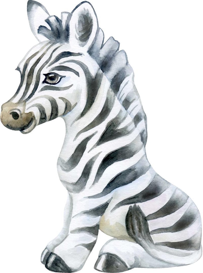 Baby Zebra Wall Decal Safari Animal Wall Sticker Removable - Etsy