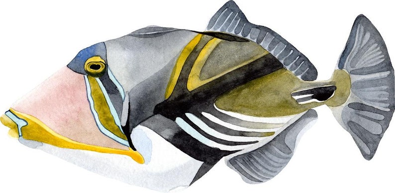 Picasso Triggerfish Wall Decal Ocean Deep Sea Tropical Fish Removable ...