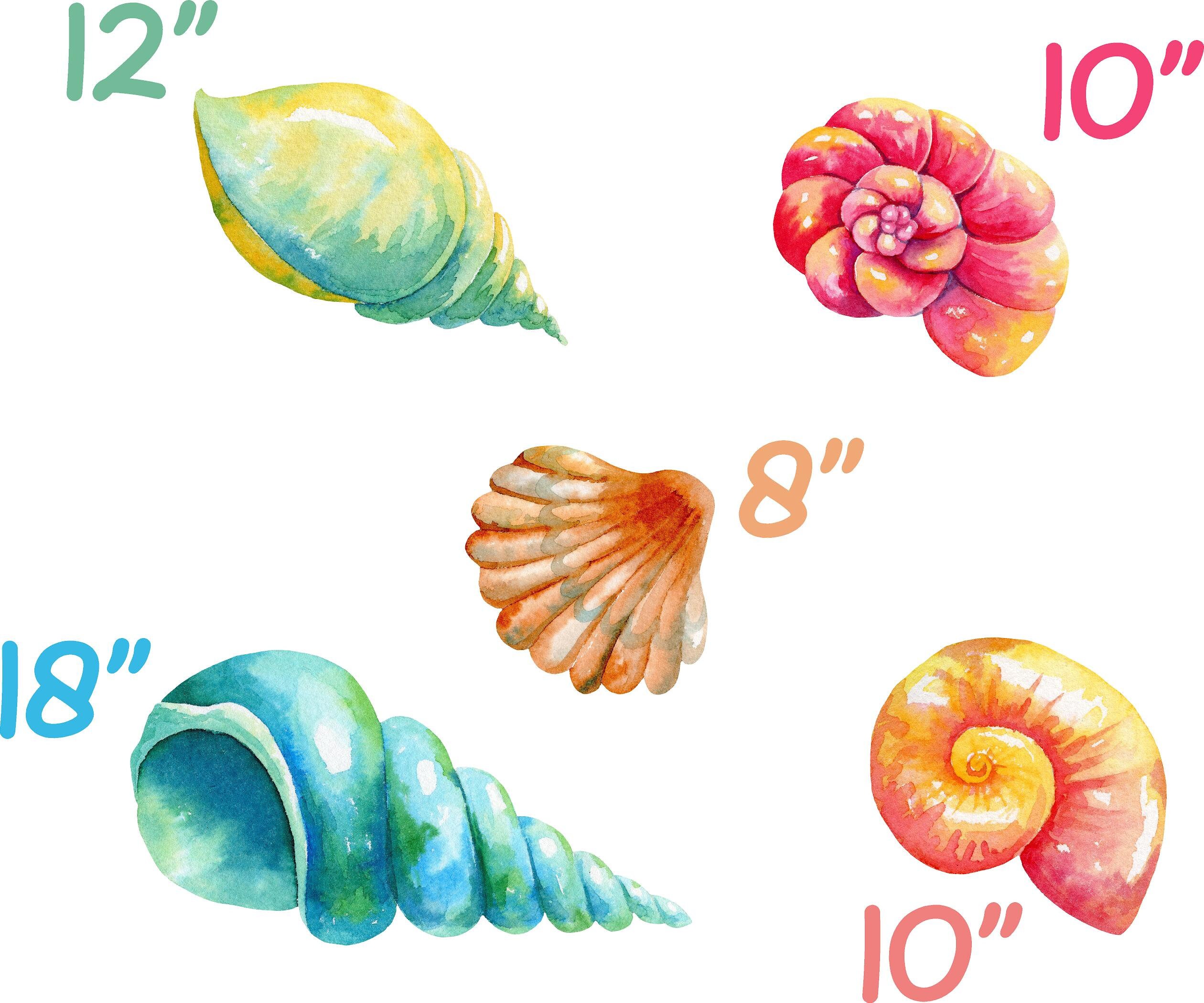 Colorful Seashells Set Wall Decal Set of 5 Watercolor Wall Sticker ...