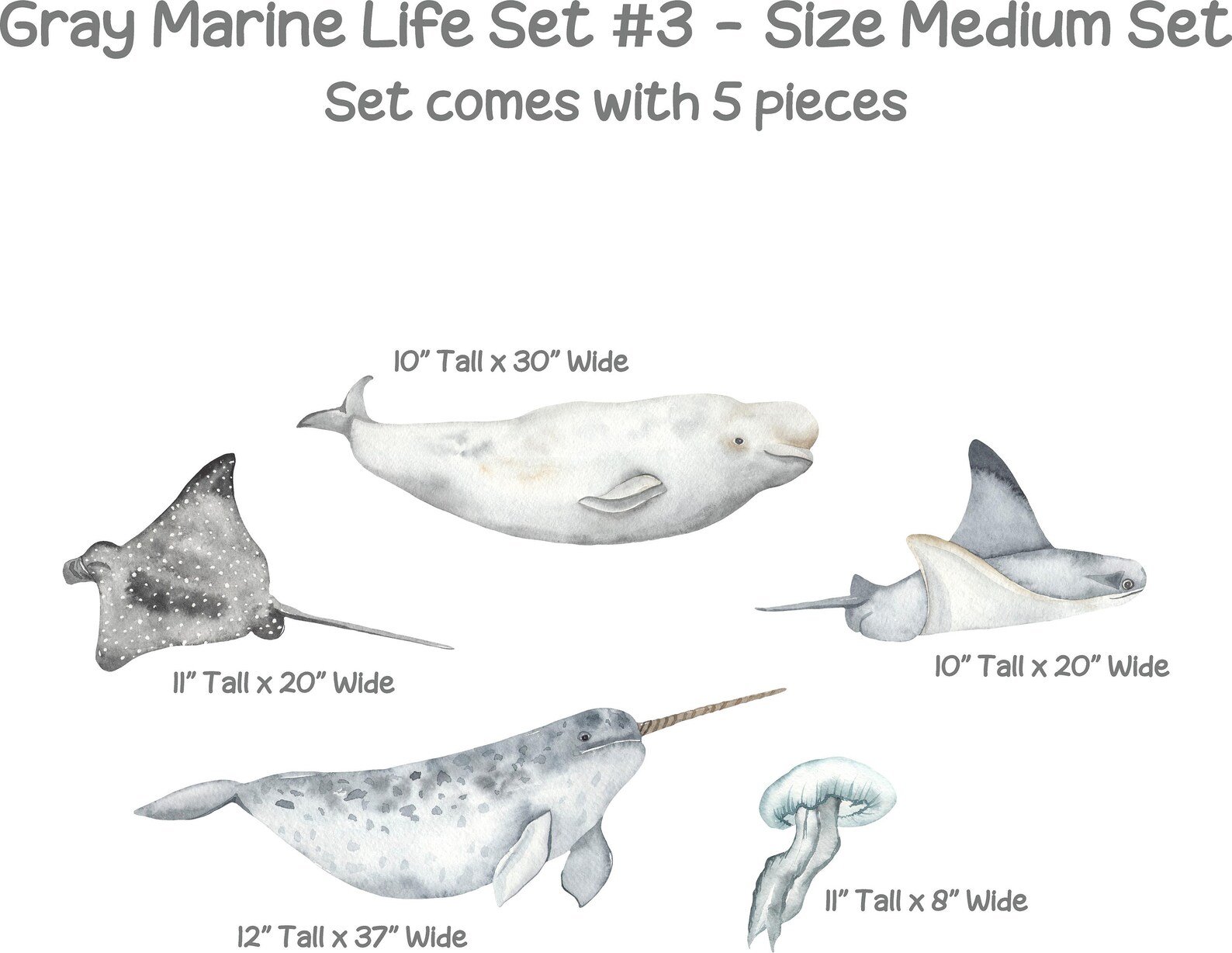 Gray Marine Life Set 3 Wall Decal Ocean Sea Life Removable - Etsy