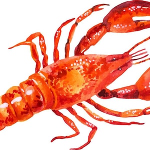 Red Lobster Wall Decal Watercolor Sea Marine Crustacean Removable ...