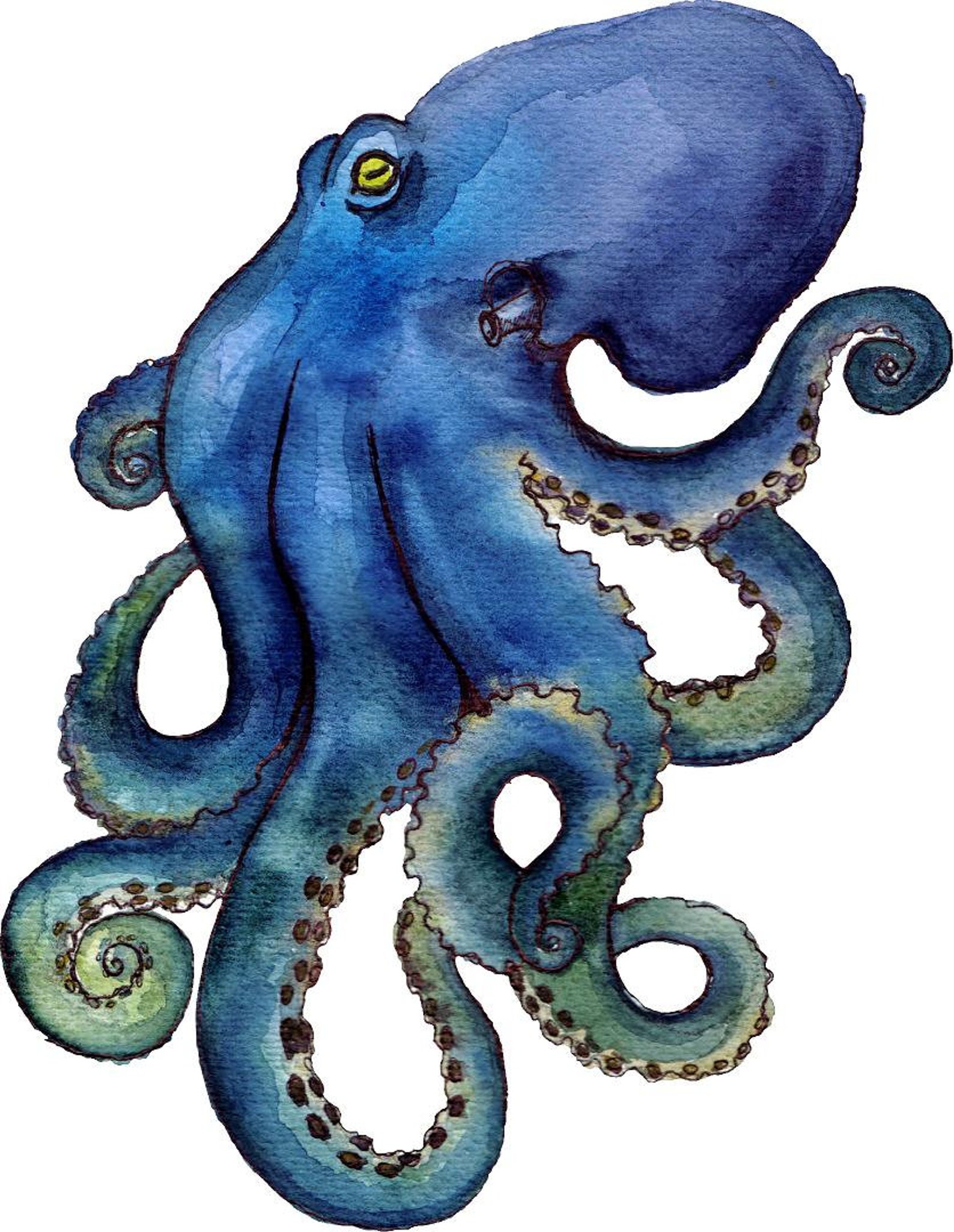 Watercolor Blue Octopus Wall Decal Ocean Sea Life Removable Fabric Wall ...