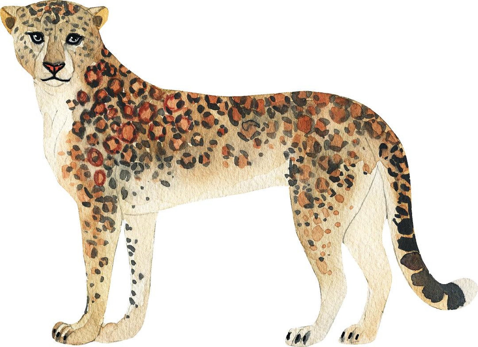 Leopard Wall Decal Safari Animal Cat Wall Sticker Removable Fabric for ...