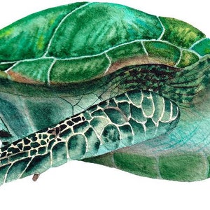 Watercolor Green Sea Turtle Wall Decal Ocean Sea Life Removable Fabric ...