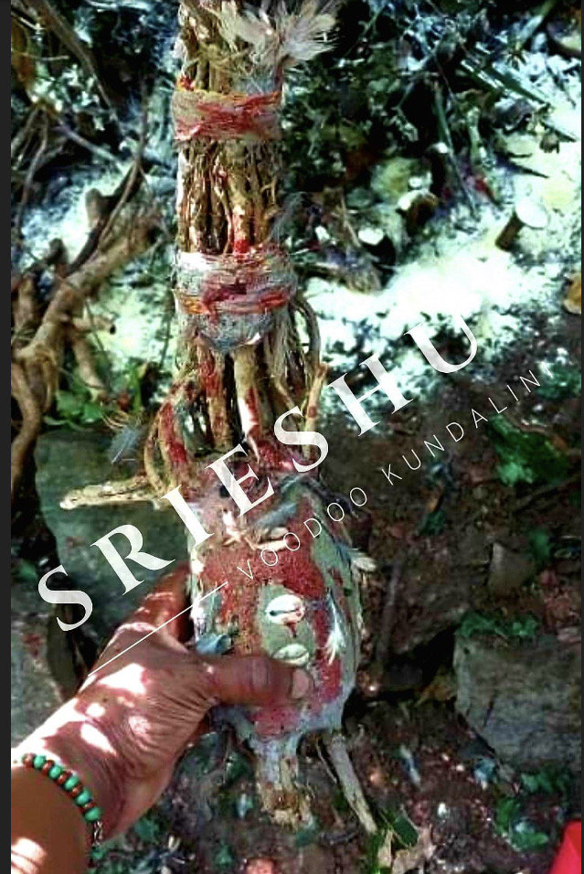 Tree Root Conjure Bundle for Protection Against Witchcraft ...