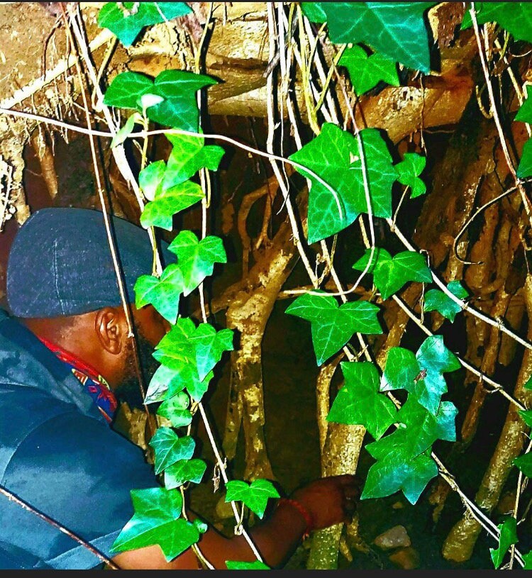Tree Root Conjure Bundle for Protection Against Witchcraft ...