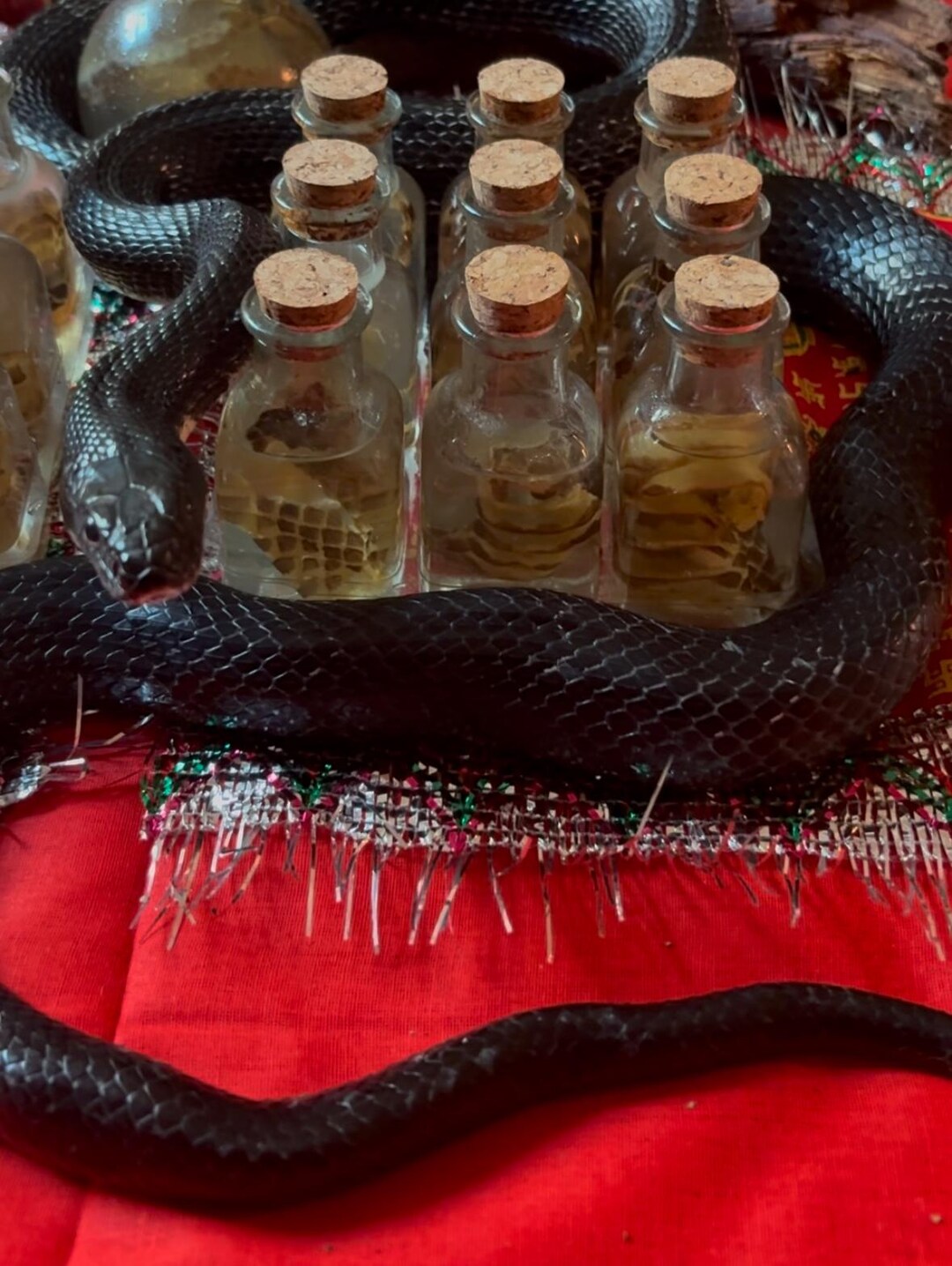 Voodoo Kundalini Snake Skin Oil: Spiritual Healing & Protection - Etsy