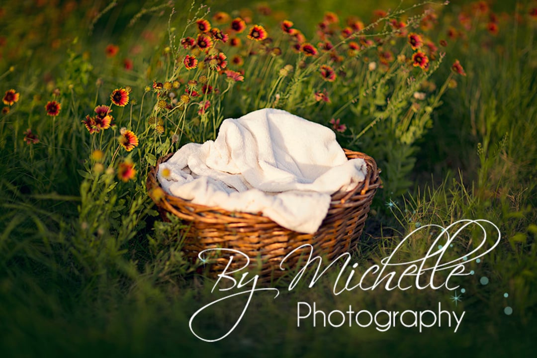 Newborn Red and Yellow Flowers Digital Background Backdrop - Etsy