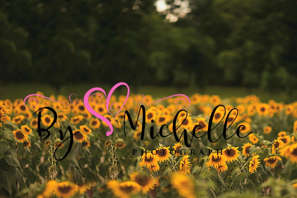 Sunflower Field Digital Background Children/teens/adults - Etsy