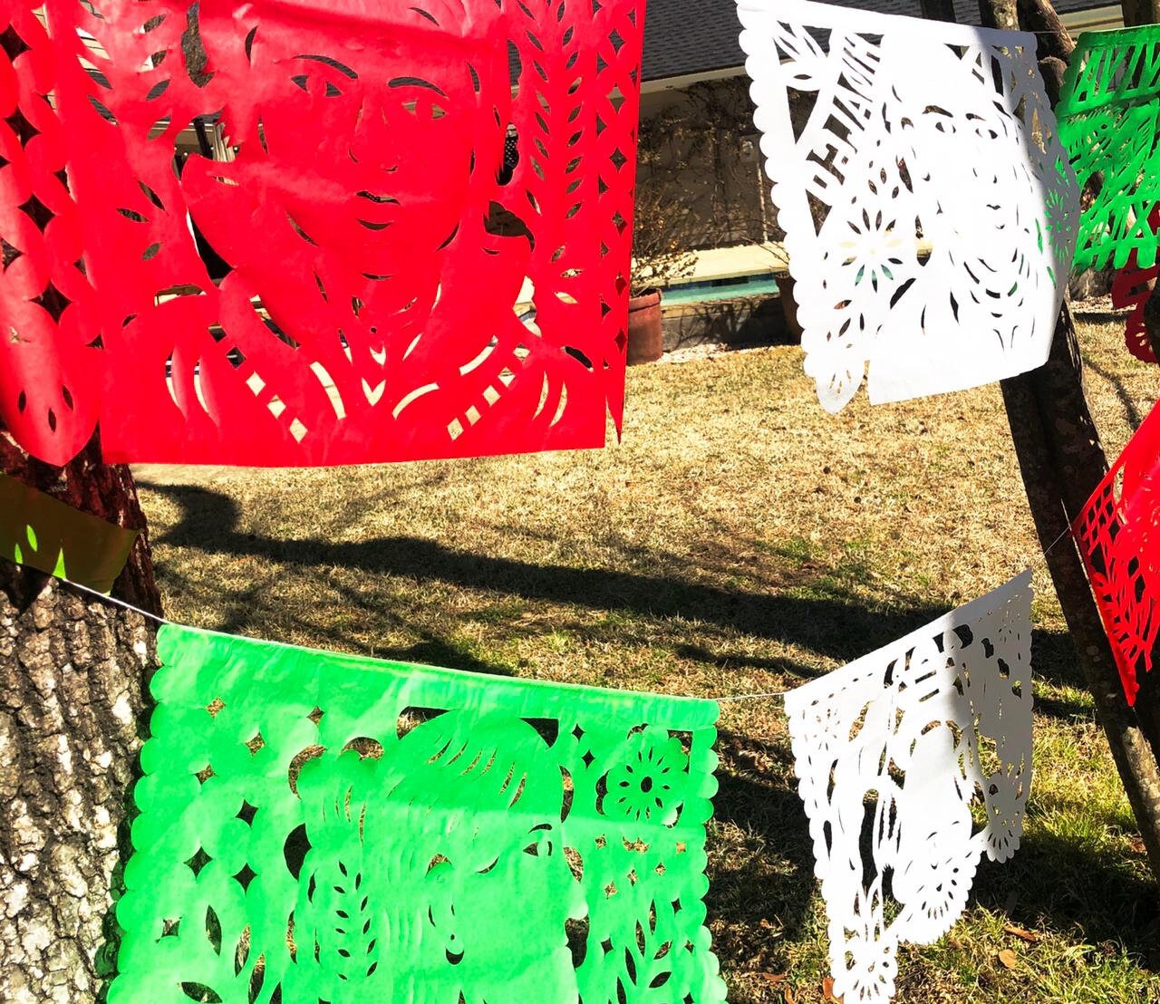 Mexican Papel Picado Viva Mexico 10 PACK | Etsy