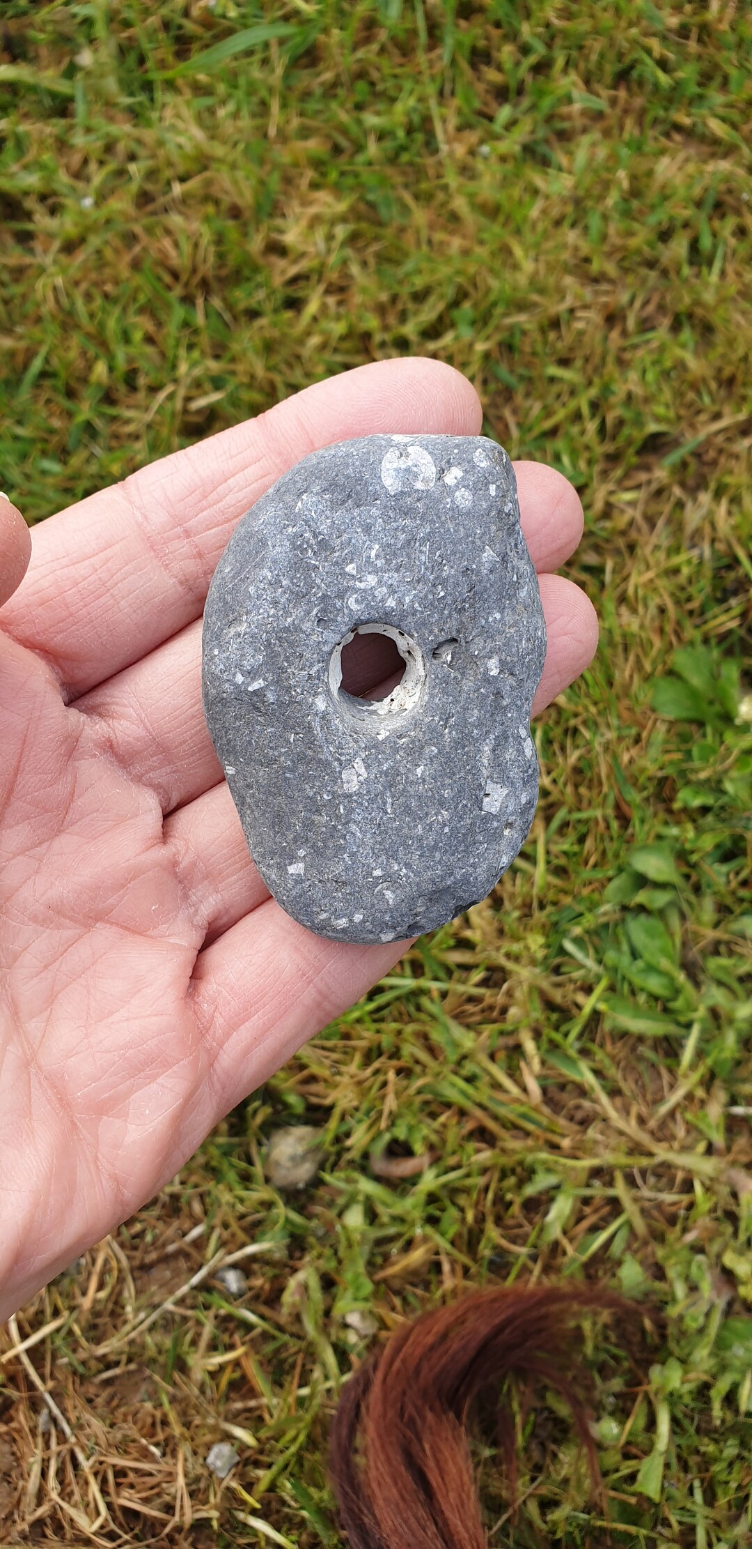 Beautiful Hag Stone. Rare Find. Protection Stone. Adder Stone. Odin ...