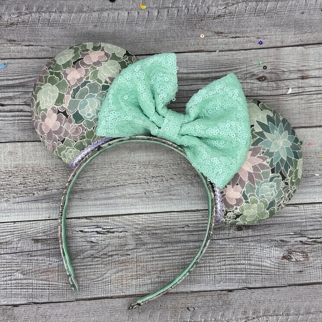 Succulent Mouse Ears - Garden, Plants,minnie, Mouse, Mouse, Land ...
