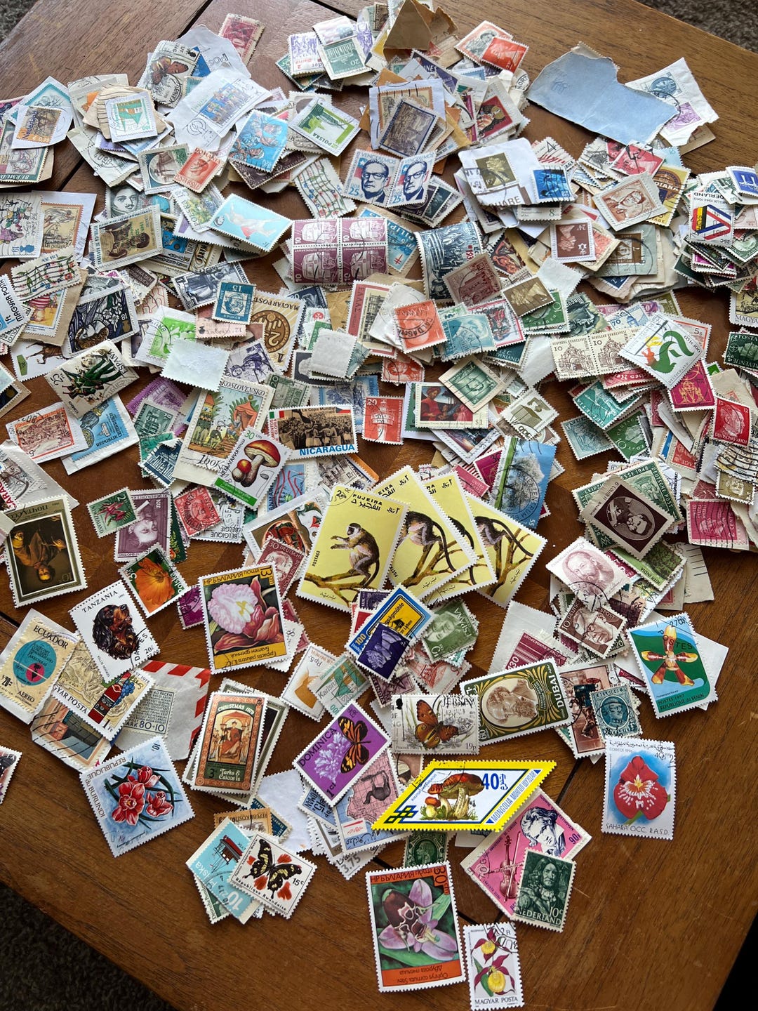Stamp Mystery Pack! - Etsy