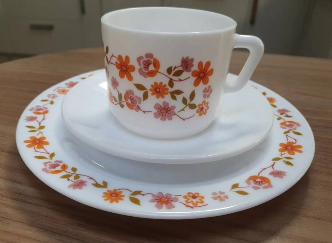 Vintage Arcopal Scania Pattern Trio Set Cup Saucer Tea Side Plate Milk ...