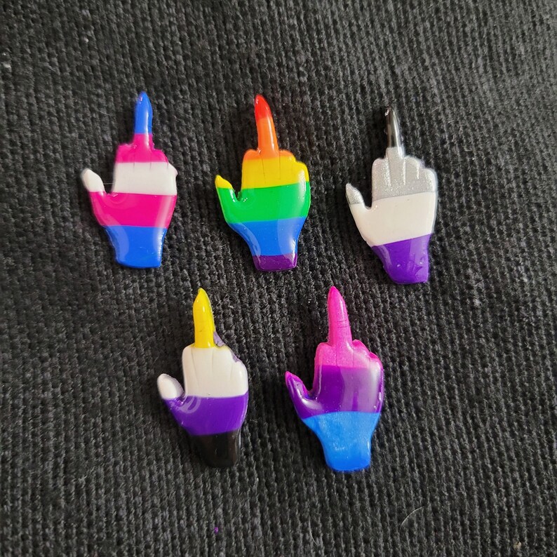 Pride Pins. Pride Flag Middle Finger Pins. Queer, Bi, Trans, Enby, Ace ...
