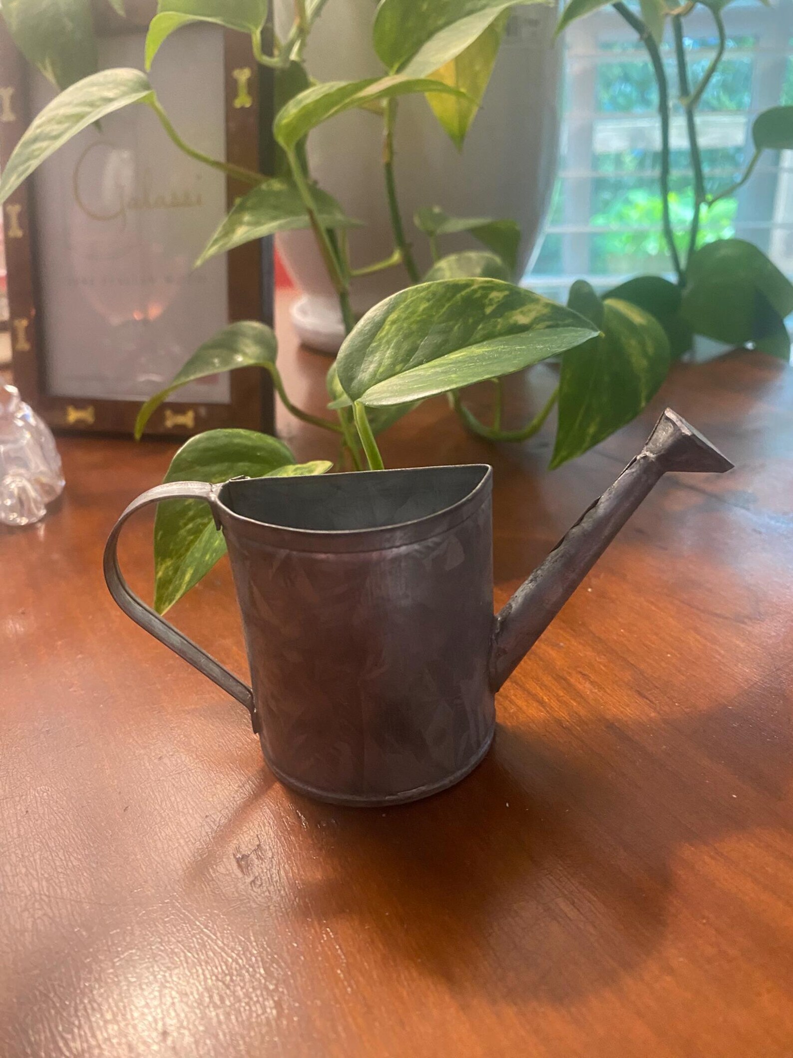 Miniature Galvanized Watering Can: French Fairy Garden Accessory - Etsy
