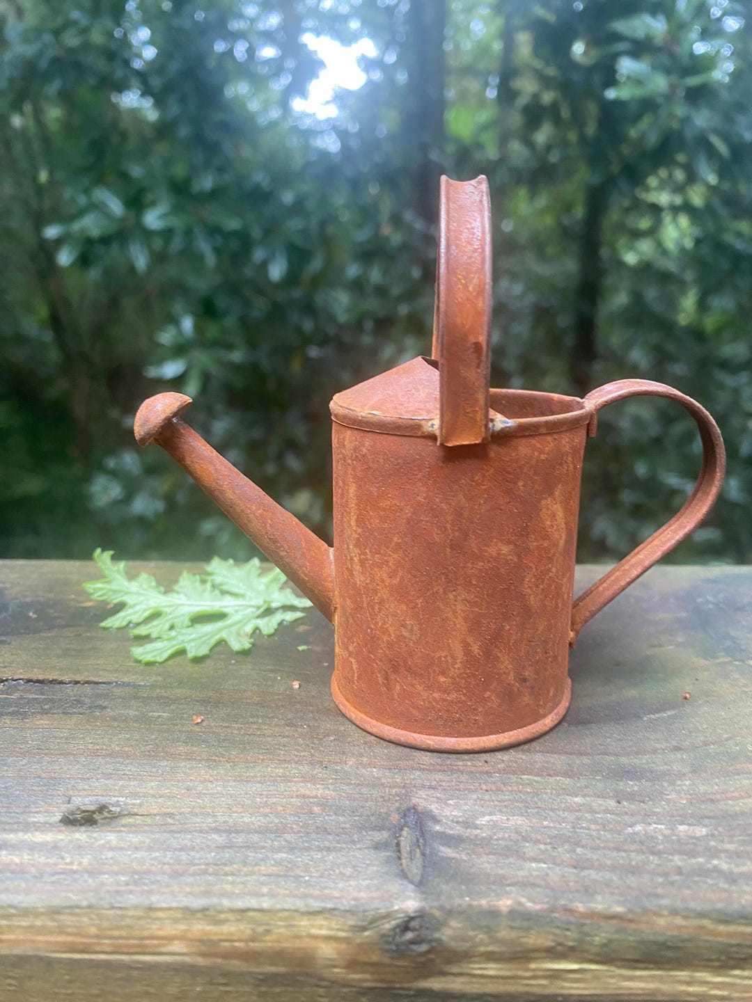 Fairy Garden Rustic 4" Round Watering Can, Garden Accessories ...
