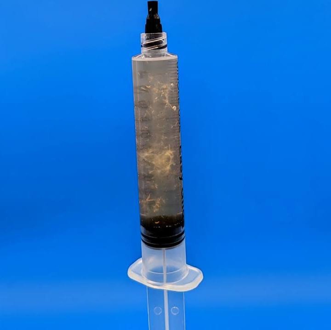 Pink Oyster Liquid Culture - Etsy