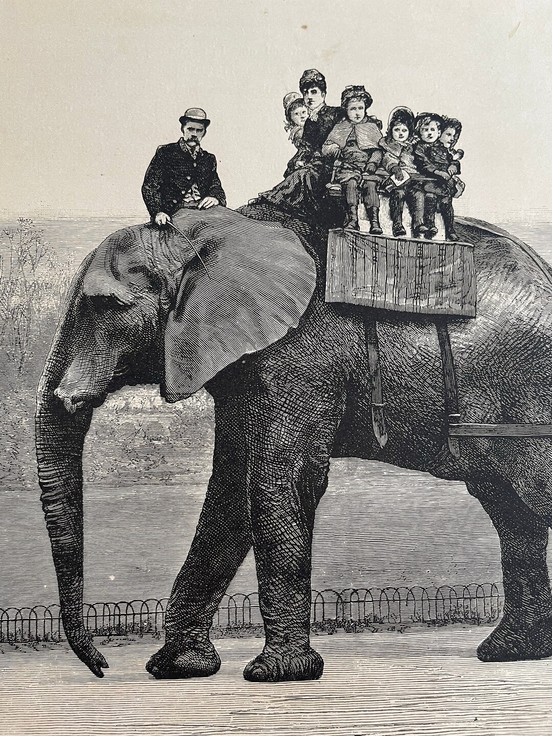Jumbo, Elephant, Children, Circus Band, Horses, 1883, Graphics, Picture ...