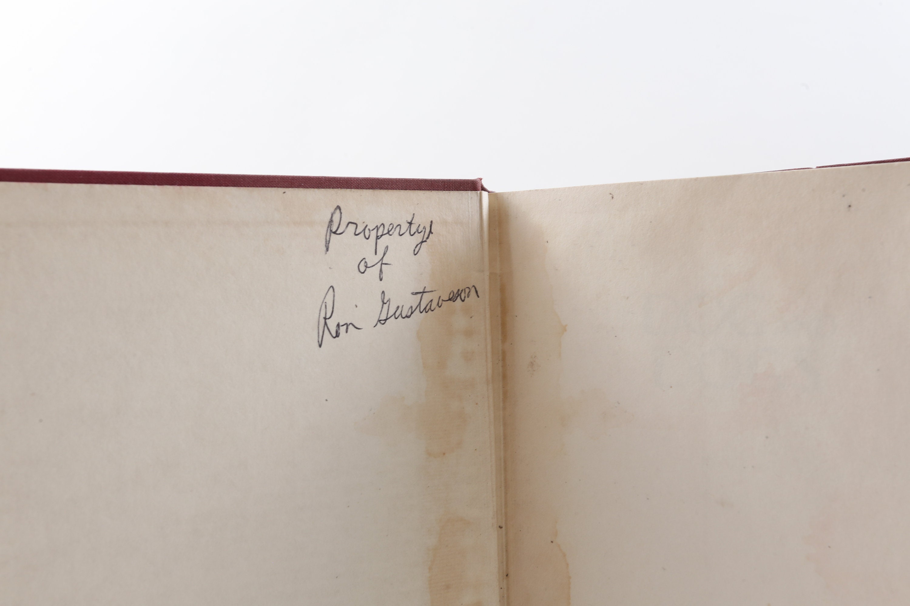 Rare Dog and Dogs Joseph Edward Harry D. Appleton-century - Etsy