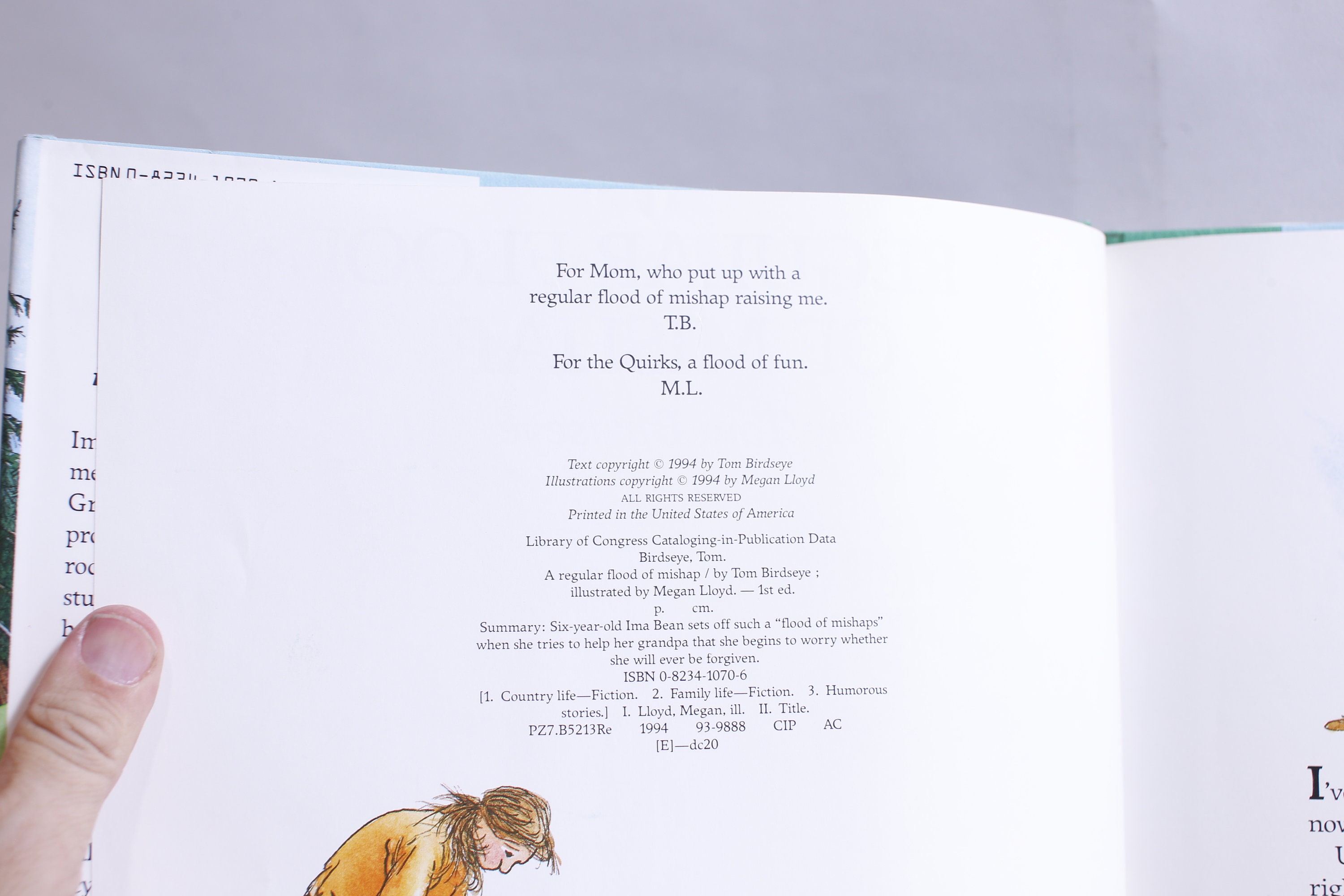 A Regular Flood of Mishap, Tom Birdseye, Picture Book, Illustrated by ...