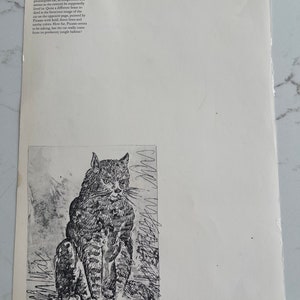 Cat, Pablo Picasso, Philosopher Cat, Drawings, Poster, Double-sided ...