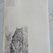 Cat, Pablo Picasso, Philosopher Cat, Drawings, Poster, Double-sided ...