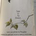Hope for the Flowers, Picture Book, Trina Paulus, 1972, Paulist Press ...