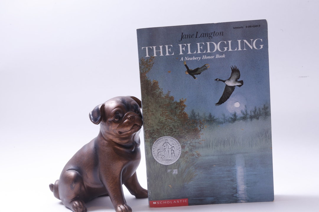 Jane Langton, the Fledgling, A Newbery Honor Book, Scholastic ...