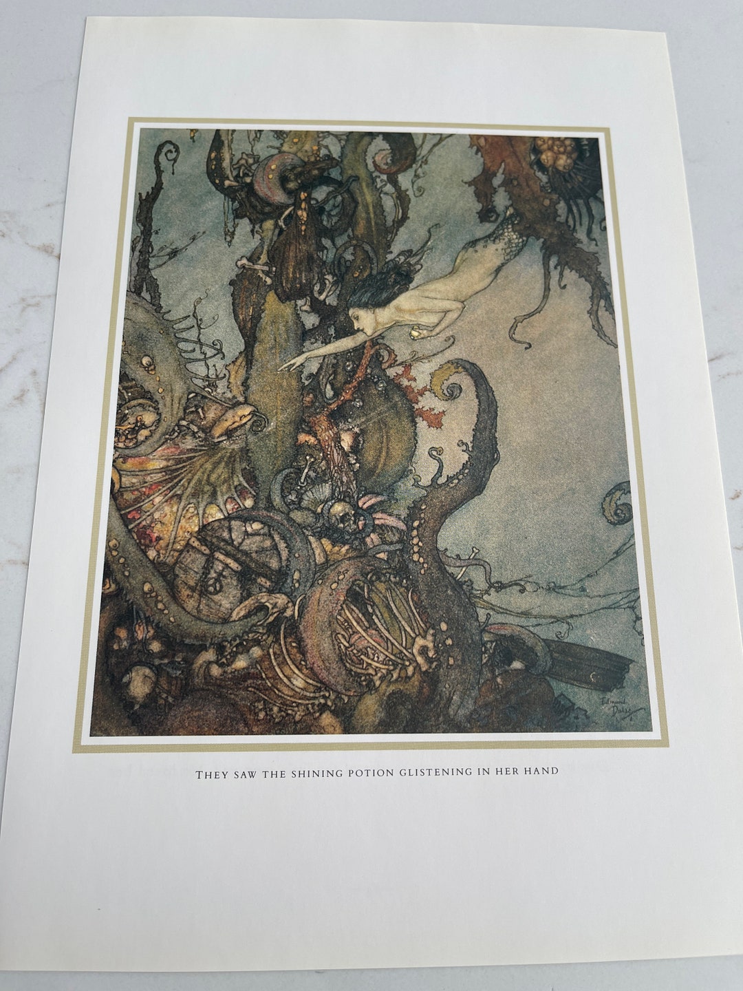Little Mermaid, Shining Potion, Edmund Dulac, Hans Christian Andersen ...