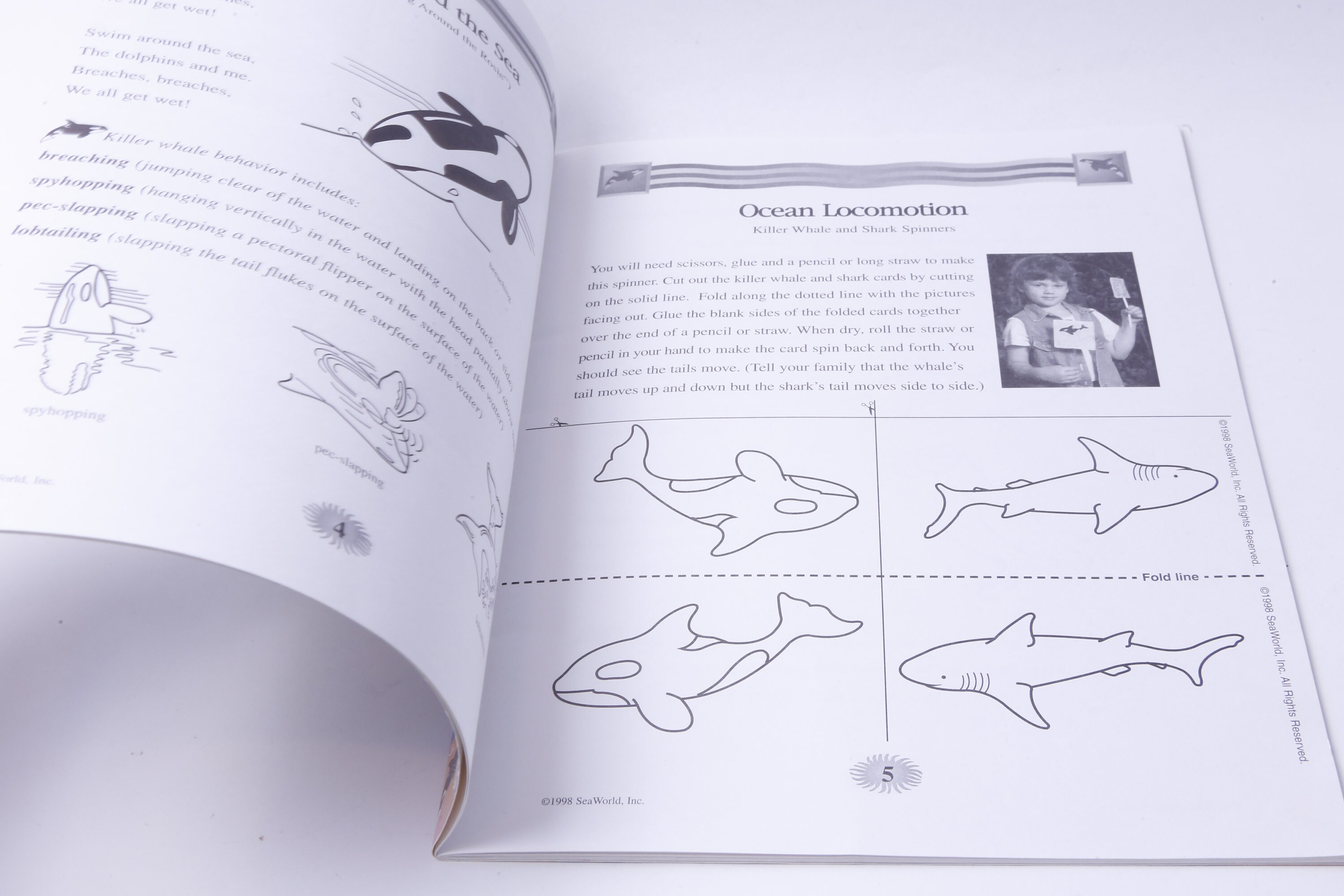 Seaworld Activity & Song Book 1998 Animals Vintage - Etsy