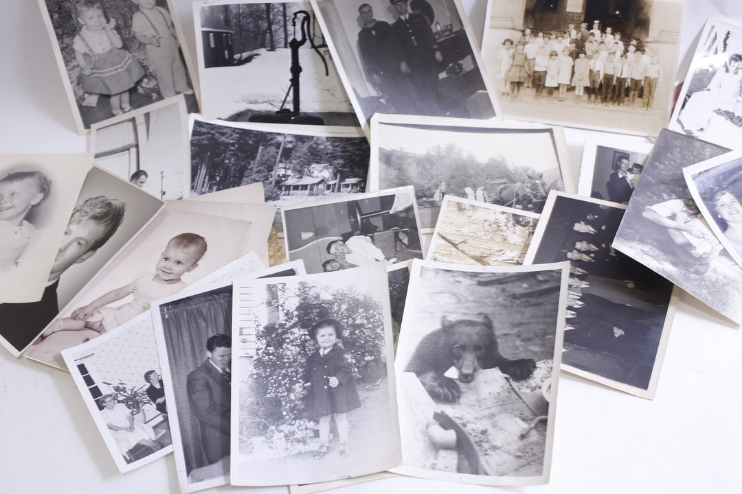 Antique Photograph Lot, 5x7", Bear, Pageant, Little Girls, Family ...