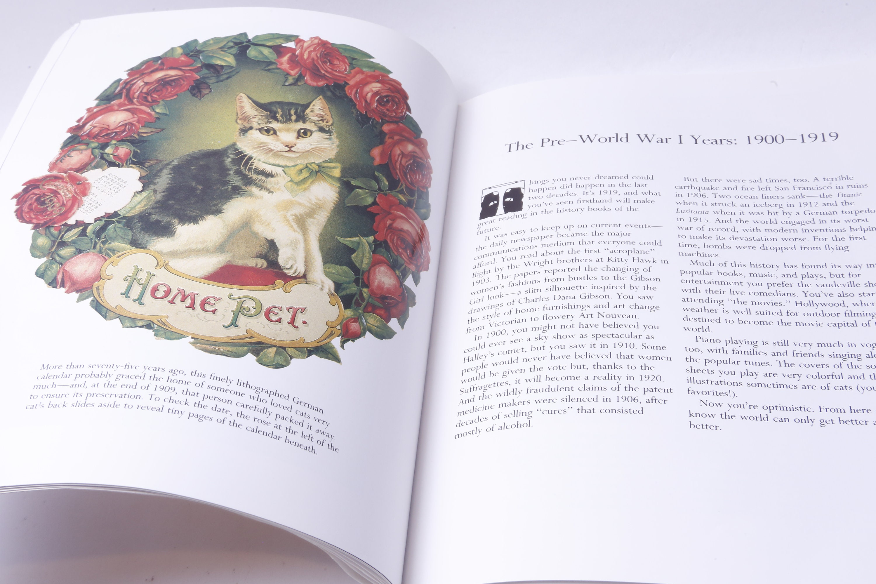 The Cat Sold It, Alice L Muncaster, Ellen Yanow Sawyer, Feline Stars of ...