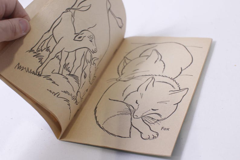 Baby Animals, Coloring Book, Whitman, 1960s, Uncolored, Uncolored ...