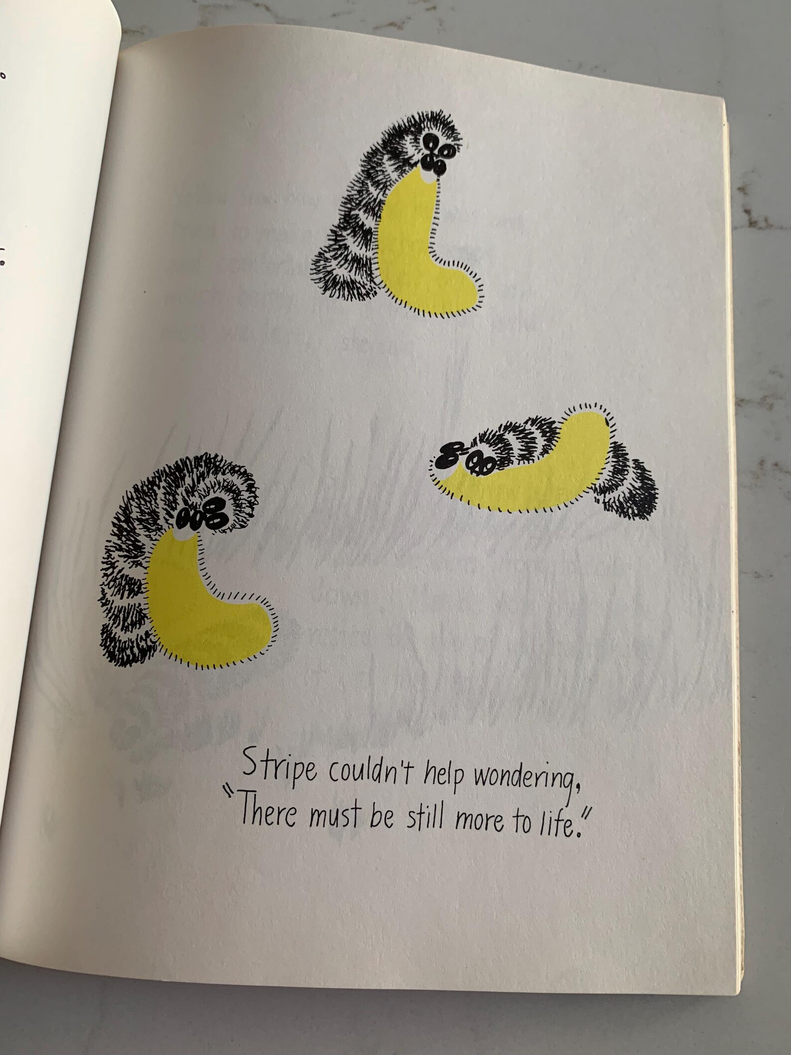 Hope for the Flowers, Picture Book, Trina Paulus, 1972, Paulist Press ...