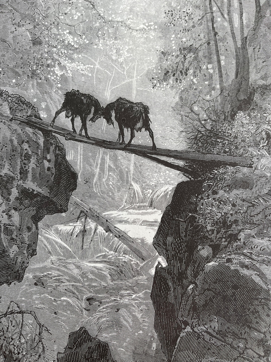 Gustave Dore, the Two Goats, the Fables, Graphics, Picture, Book Page ...