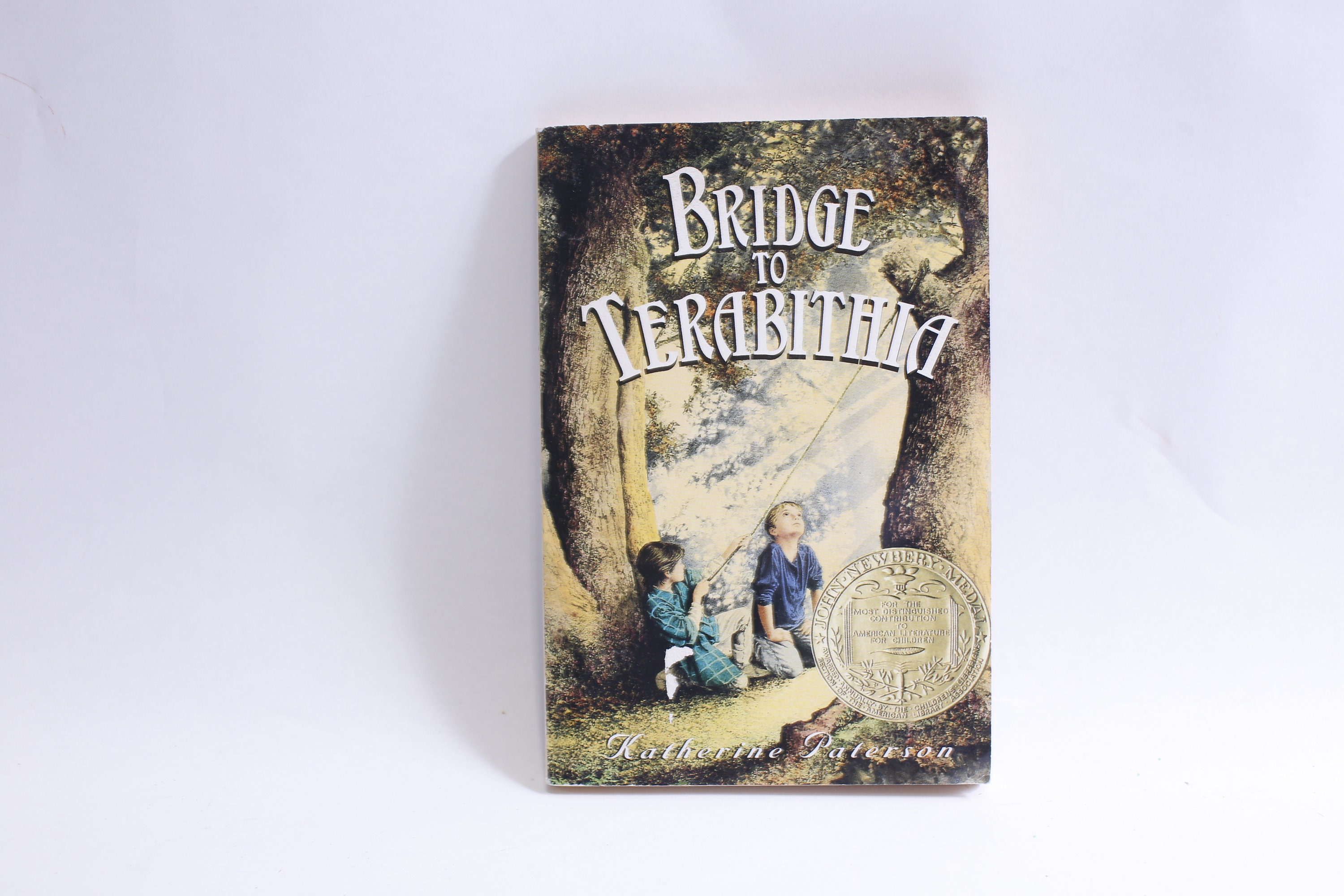 Bridge To Terabithia Book Illustrations