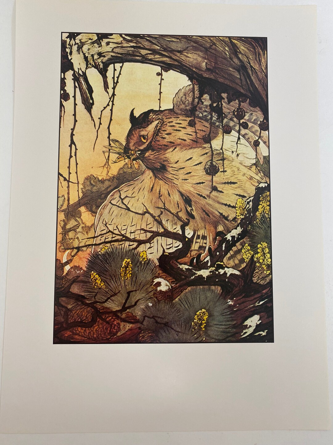 Grasshopper and Owl, Fables of Aesop, Edward Julius Detmold, Birds ...